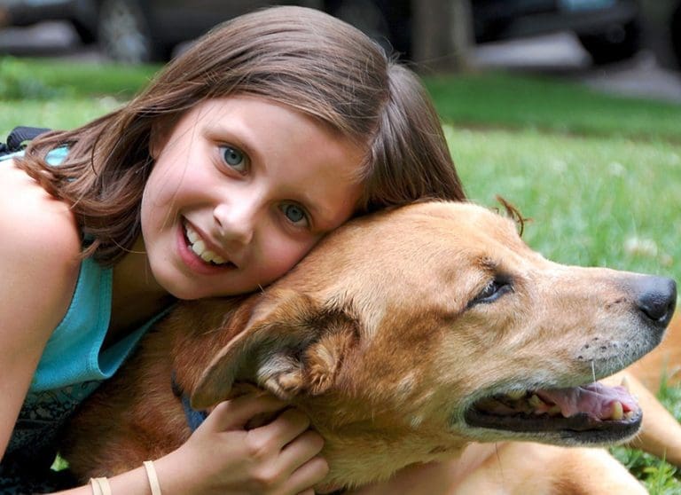 5 conseils pour garder son animal en bonne santé - Santé chien et chat ...