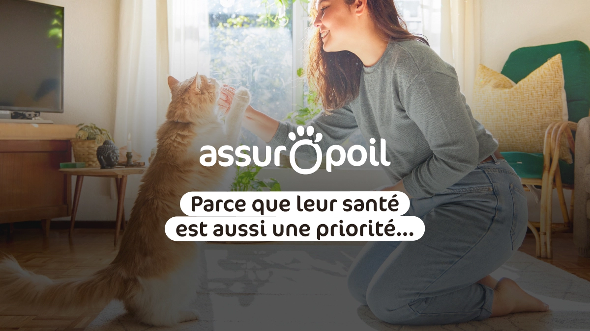 Où puis-je me procurer des feuilles de soins - FAQ Assurance et ...