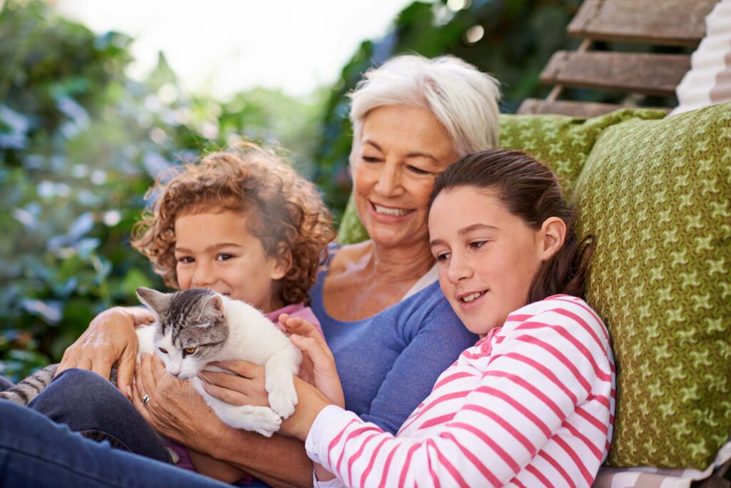 Partir en vacances avec son chat : la check-list complète - Assur O'Poil